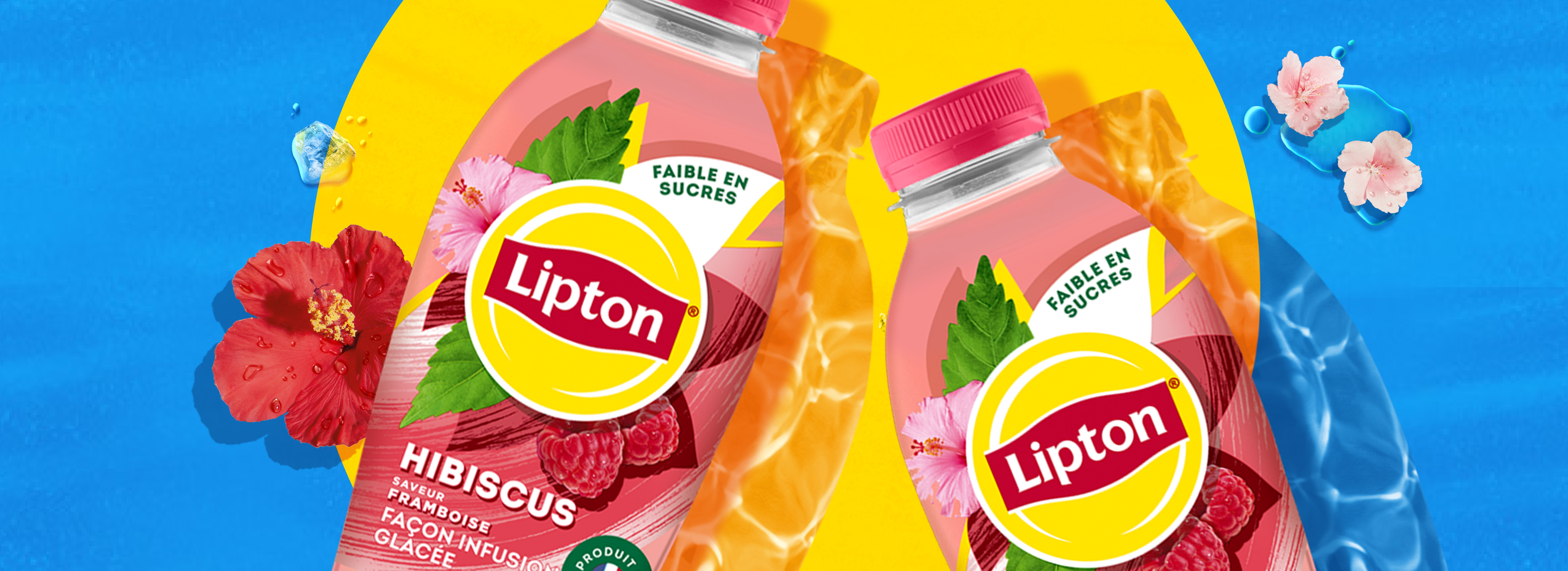 Façon Infusion Glacée | Lipton